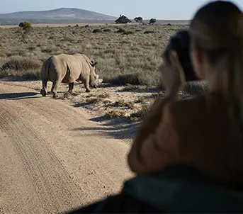Afrika’da Safari Otelleri ve Afrika’da Safari Tatil Paketi