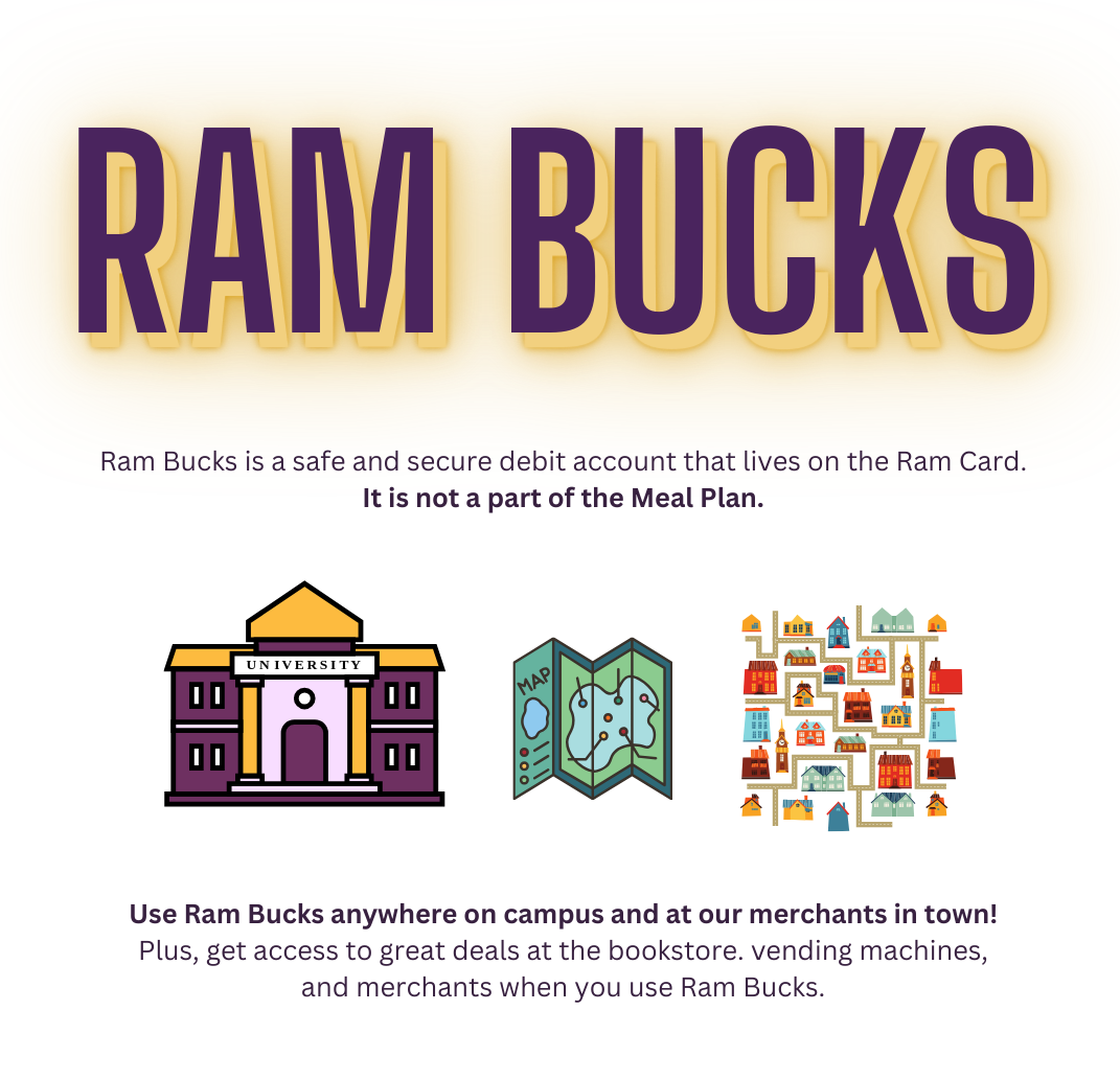 About Ram Card