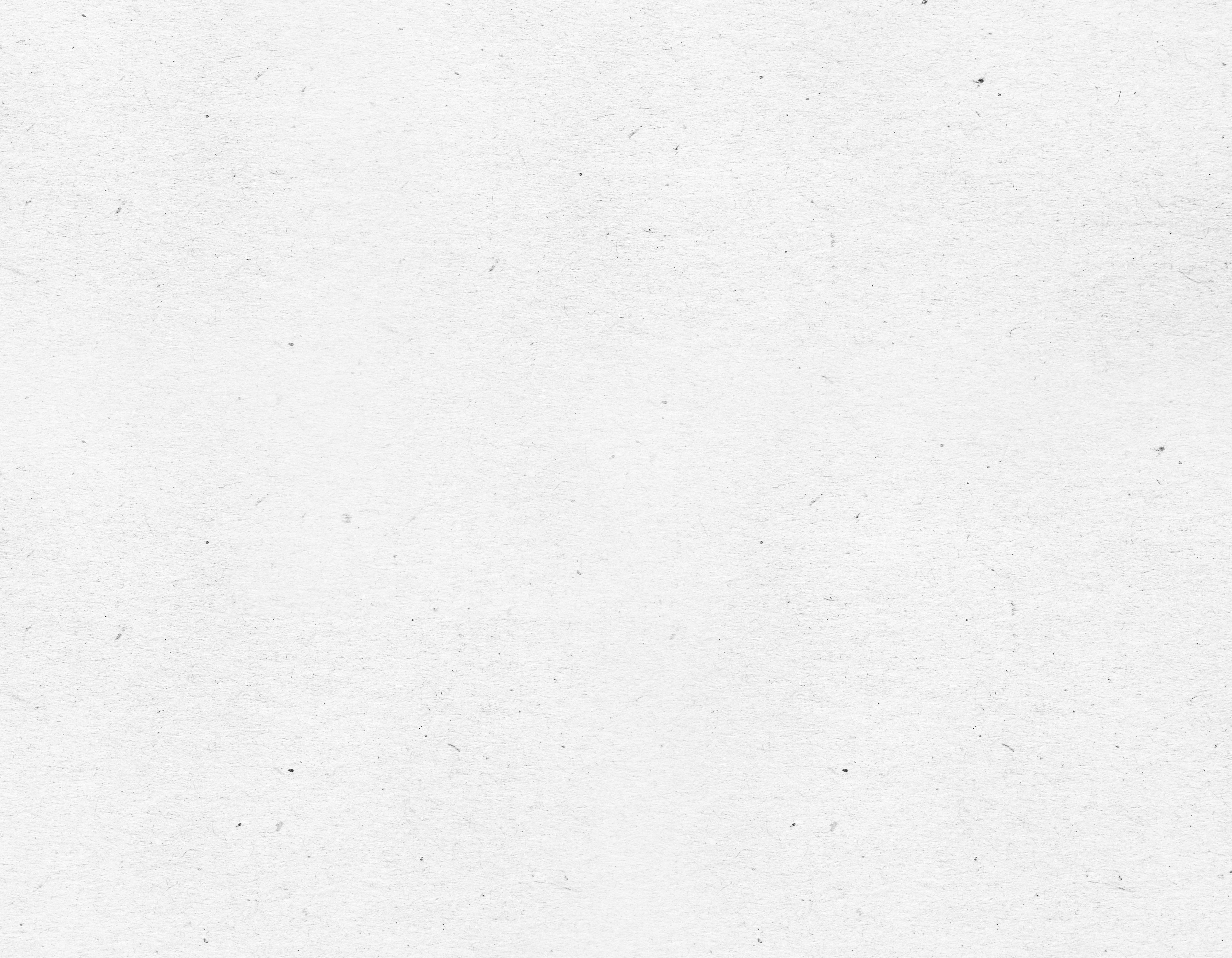 Home [cottonperformancehorses.com]