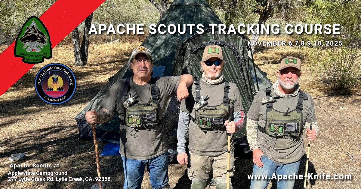 Apache Scouts
