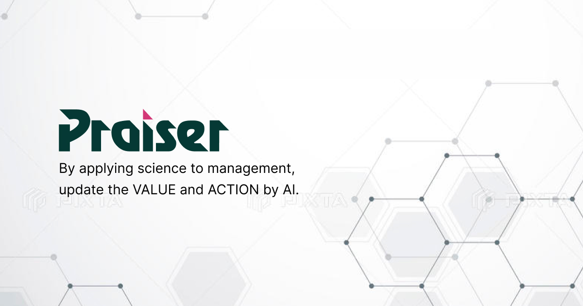 Consulting Services | Praiser