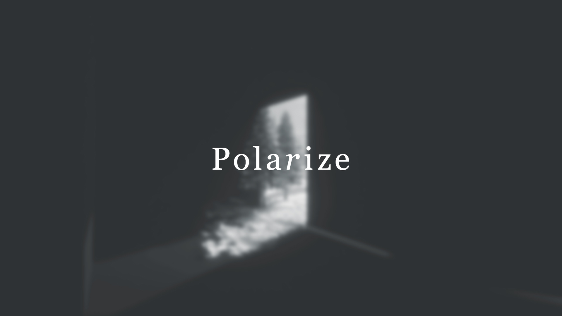 Polarize｜Perspective