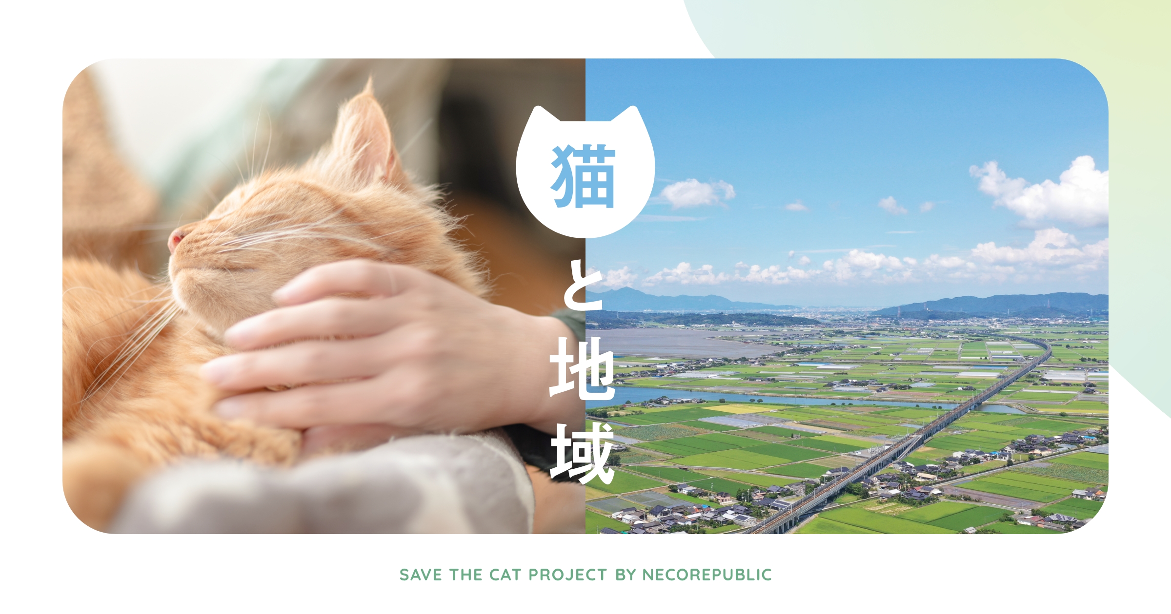 猫の殺処分ゼロを目指す／SAVE THE CAT PROJECT