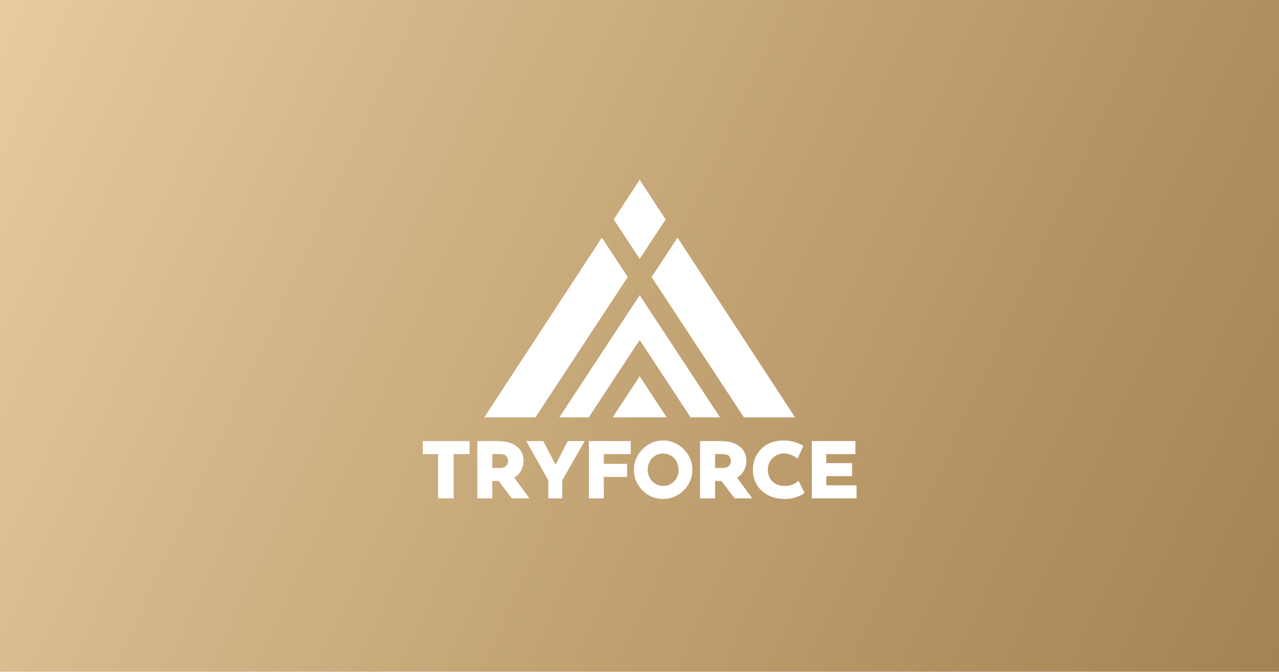 事業について | 株式会社 Try Force - トライフォース