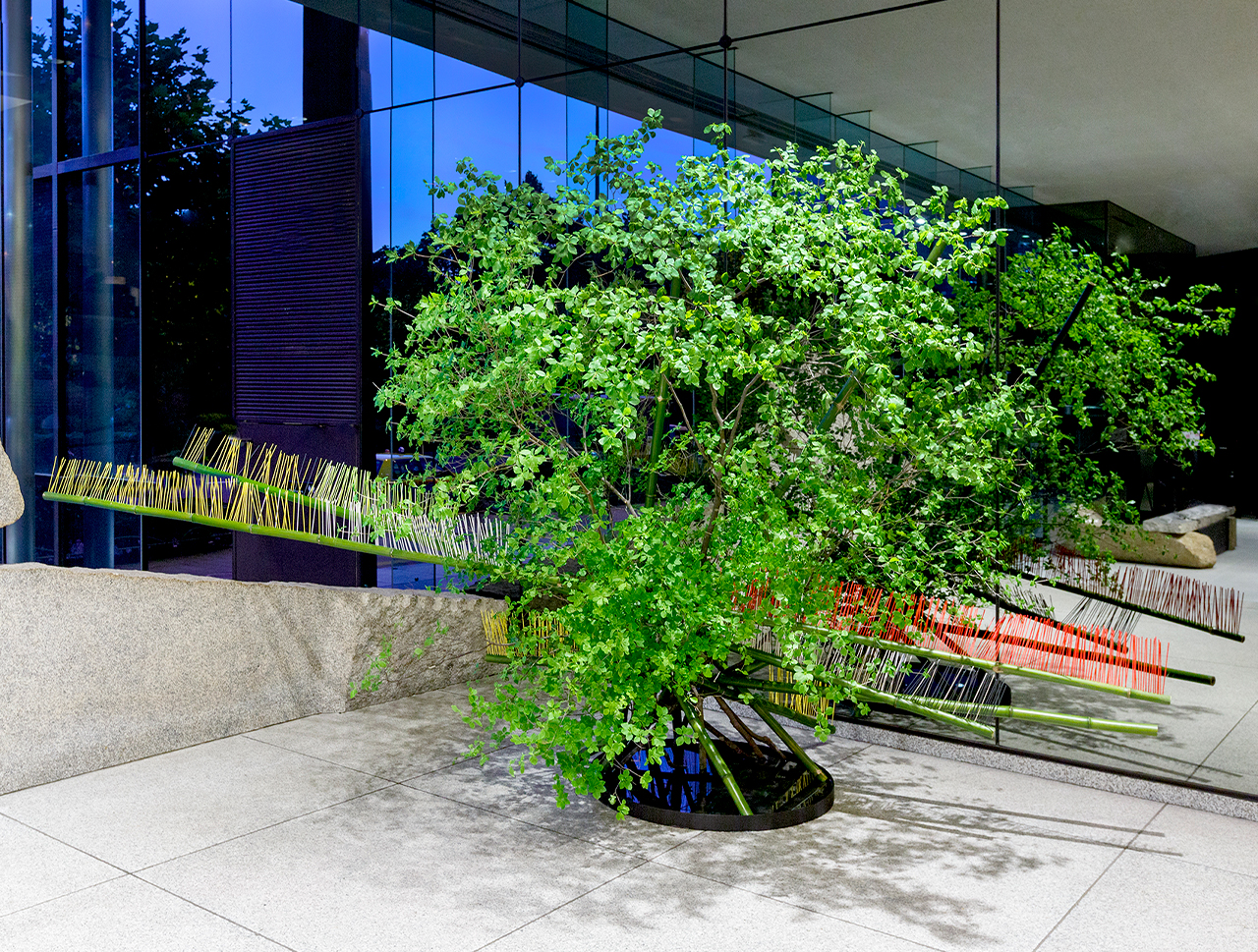 粕谷星華 | Portfolio of Seika Kasuya