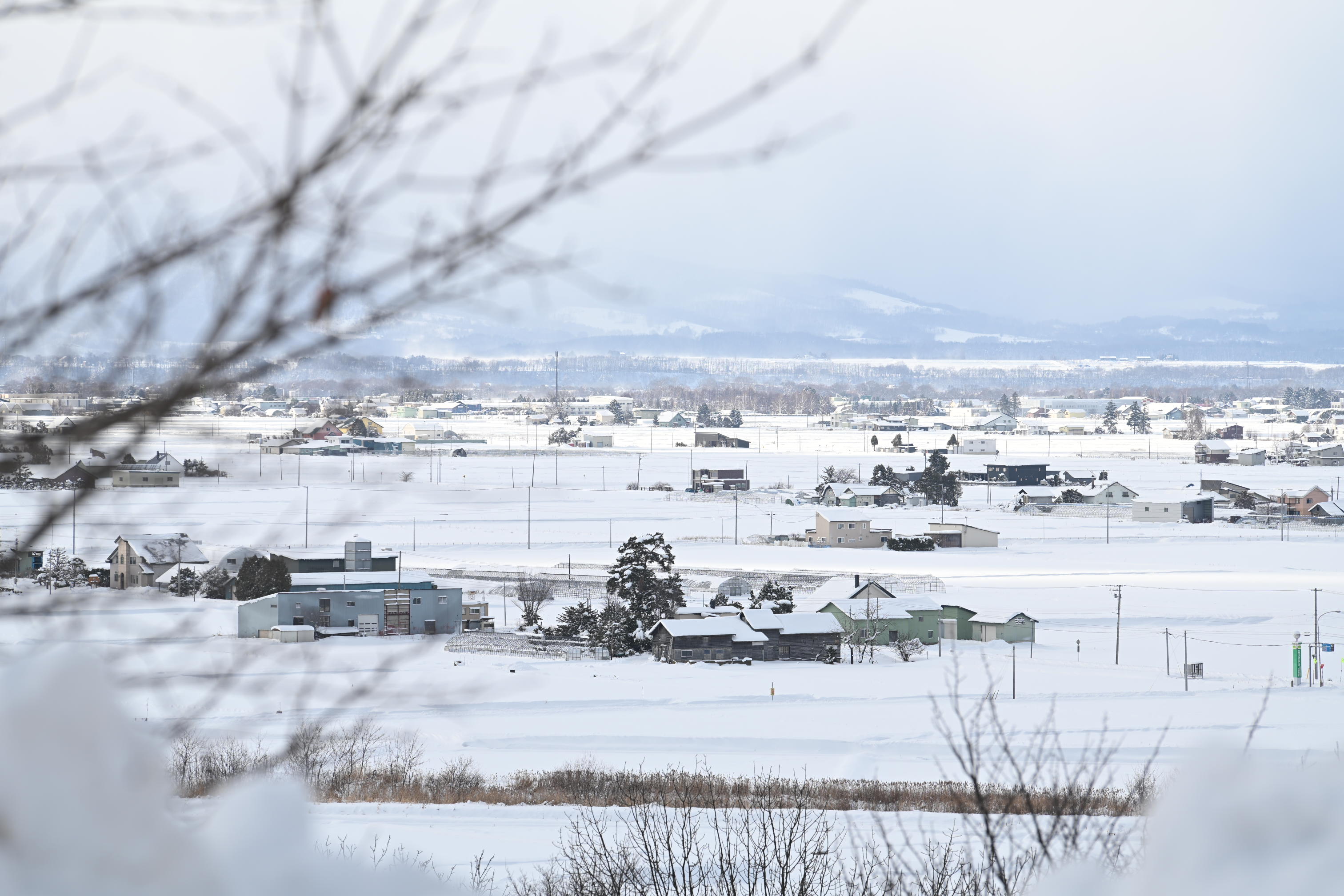 School for Life Compath Short Course February. 2026