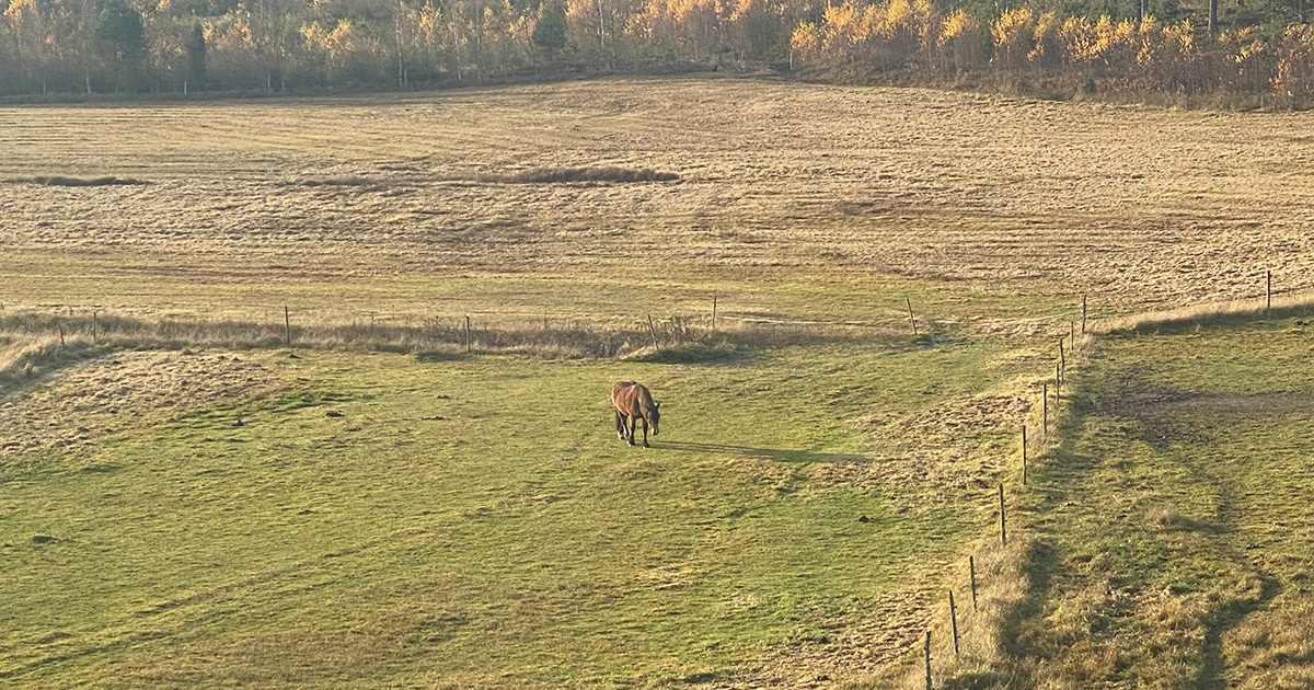 log - Mio Hatakenaka