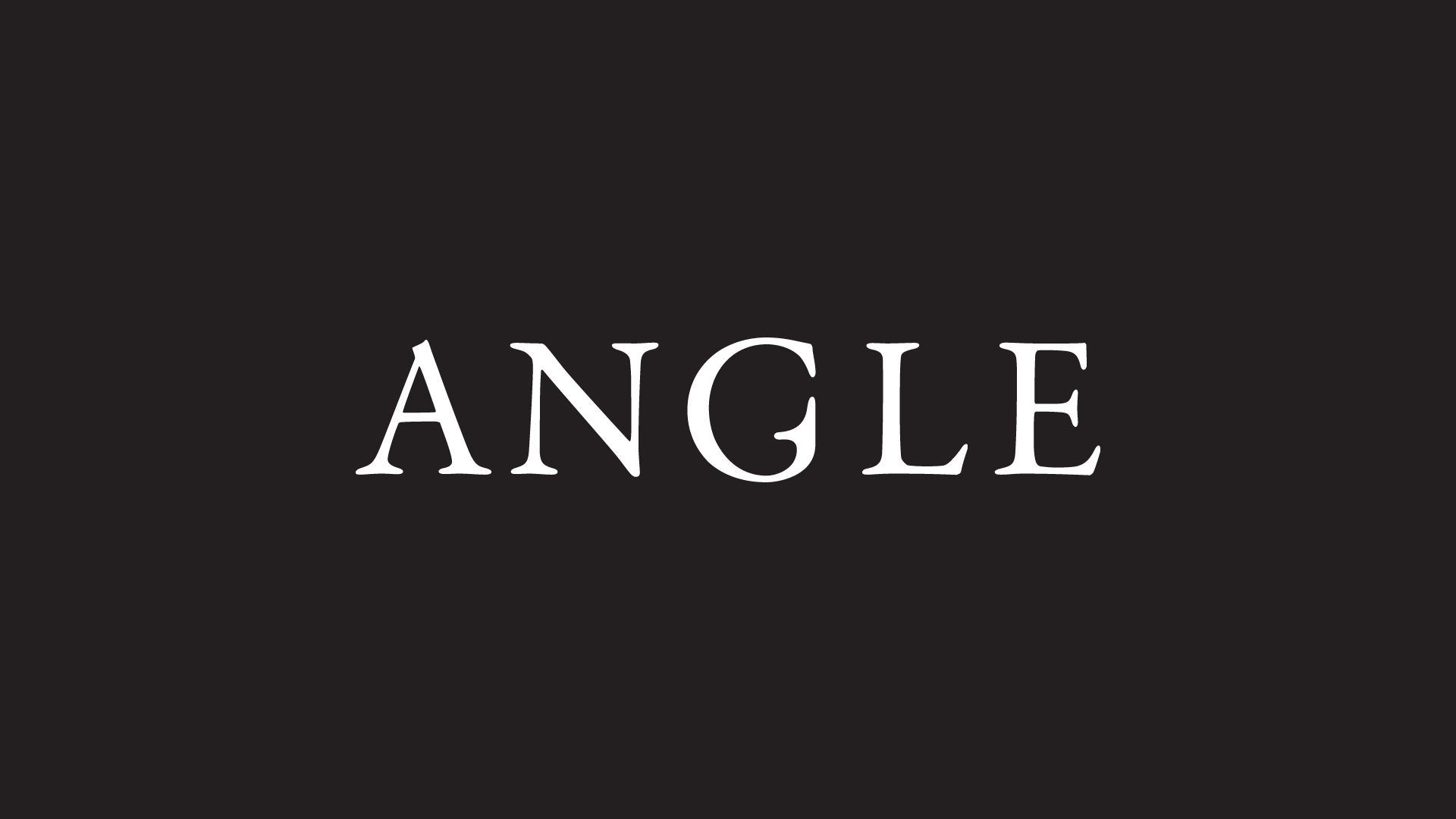 ANGLE inc.