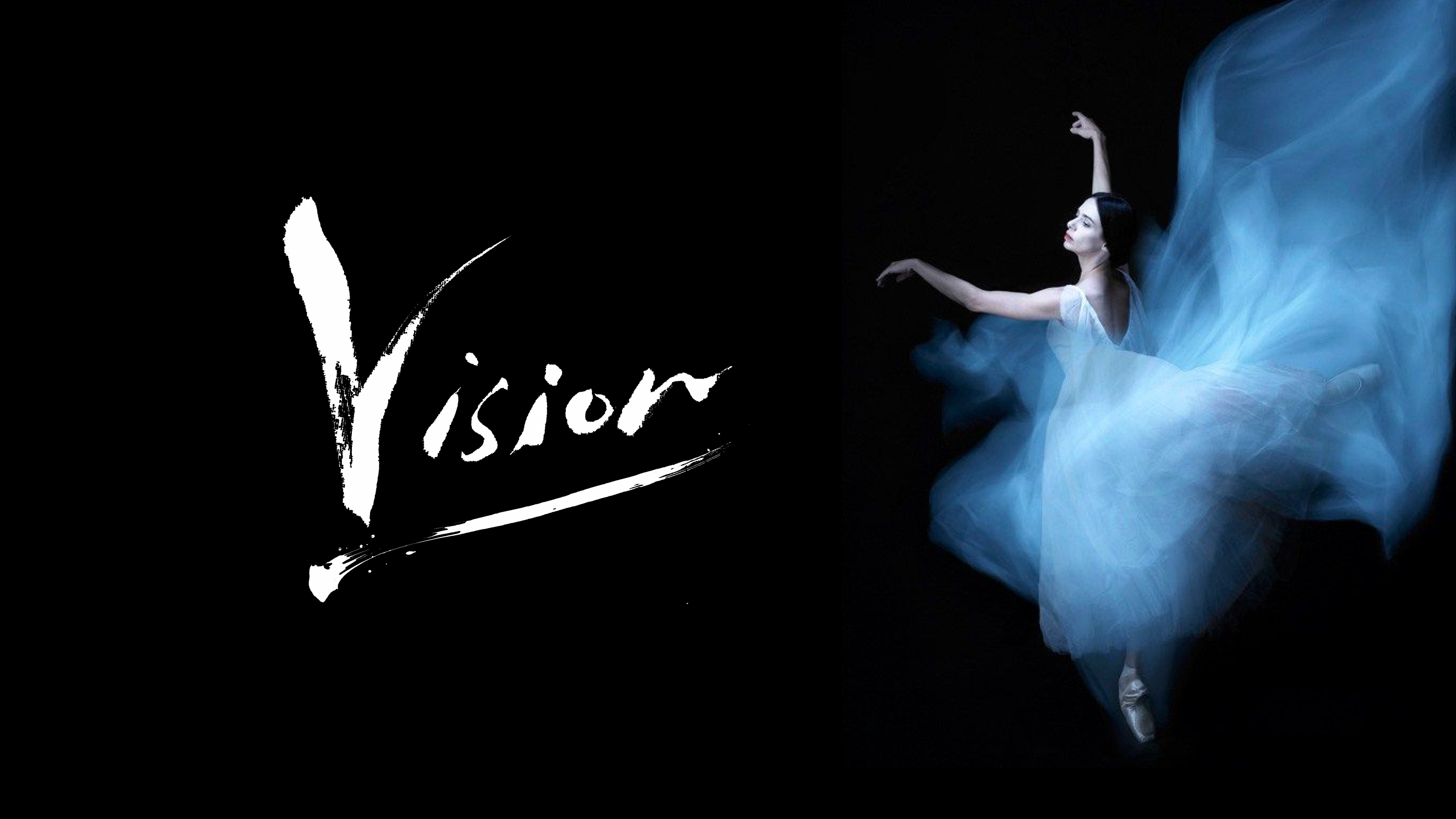 BALLET STUDIO VSION