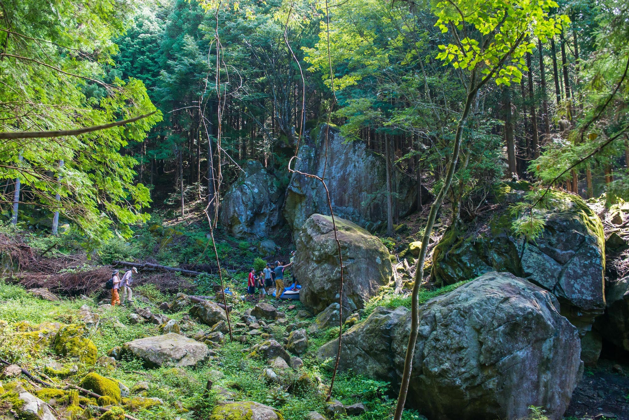 BOKYO PARK | 望郷の森公園