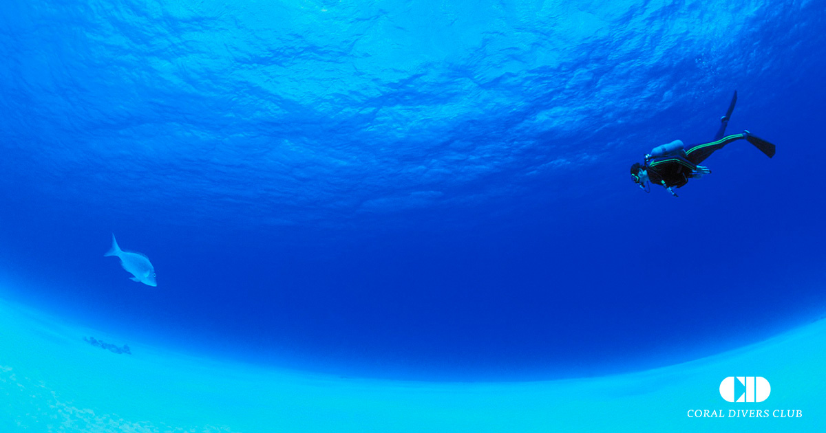 DIVING PLAN | CORAL DIVERS CLUB