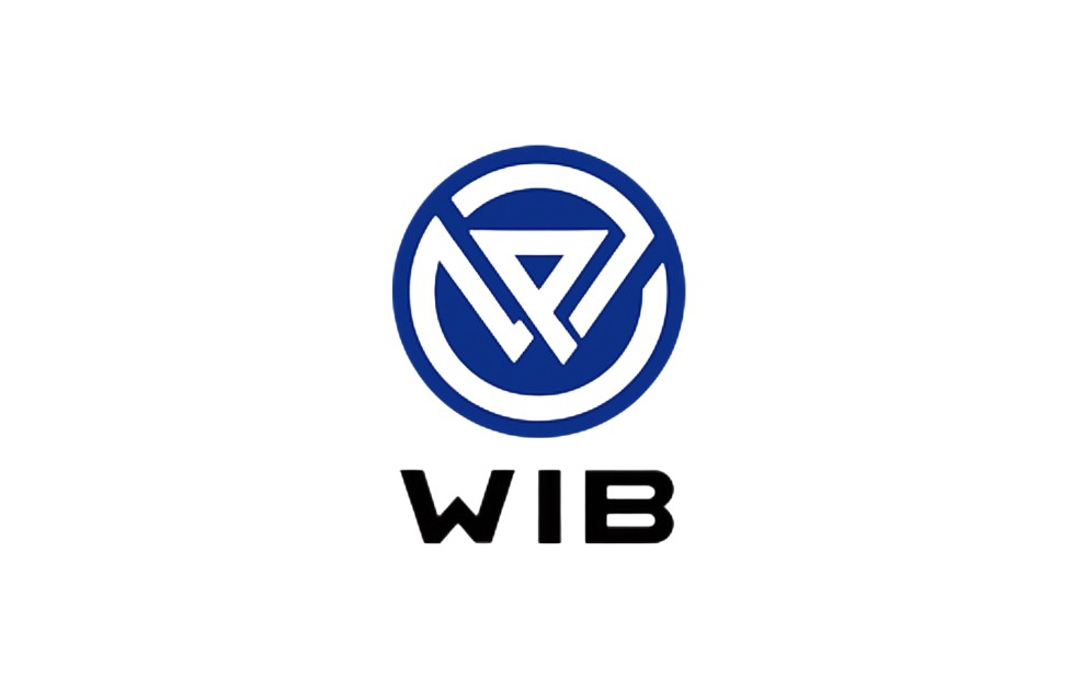 株式会社WIB