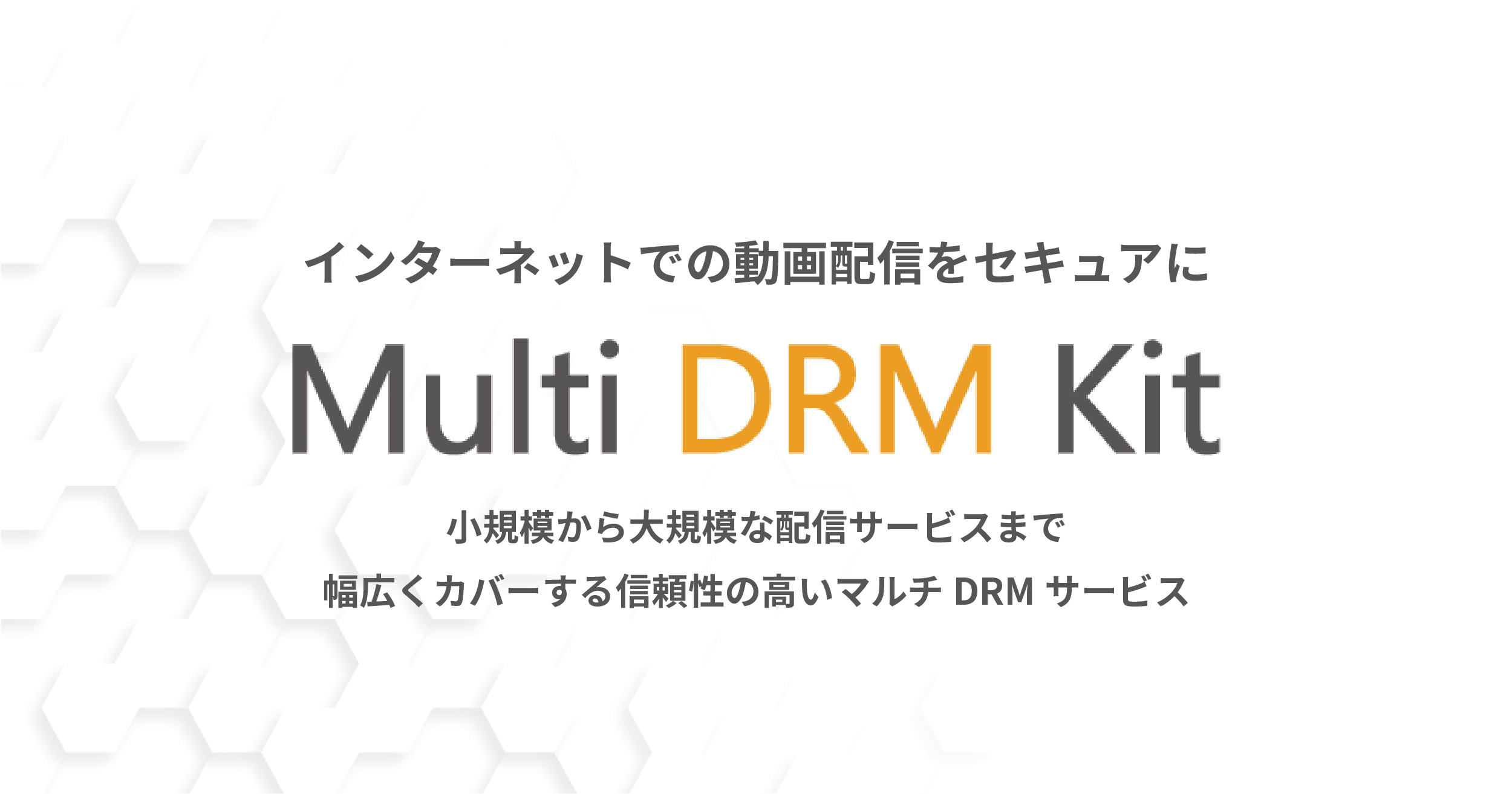 導入事例 | Multi DRM Kit