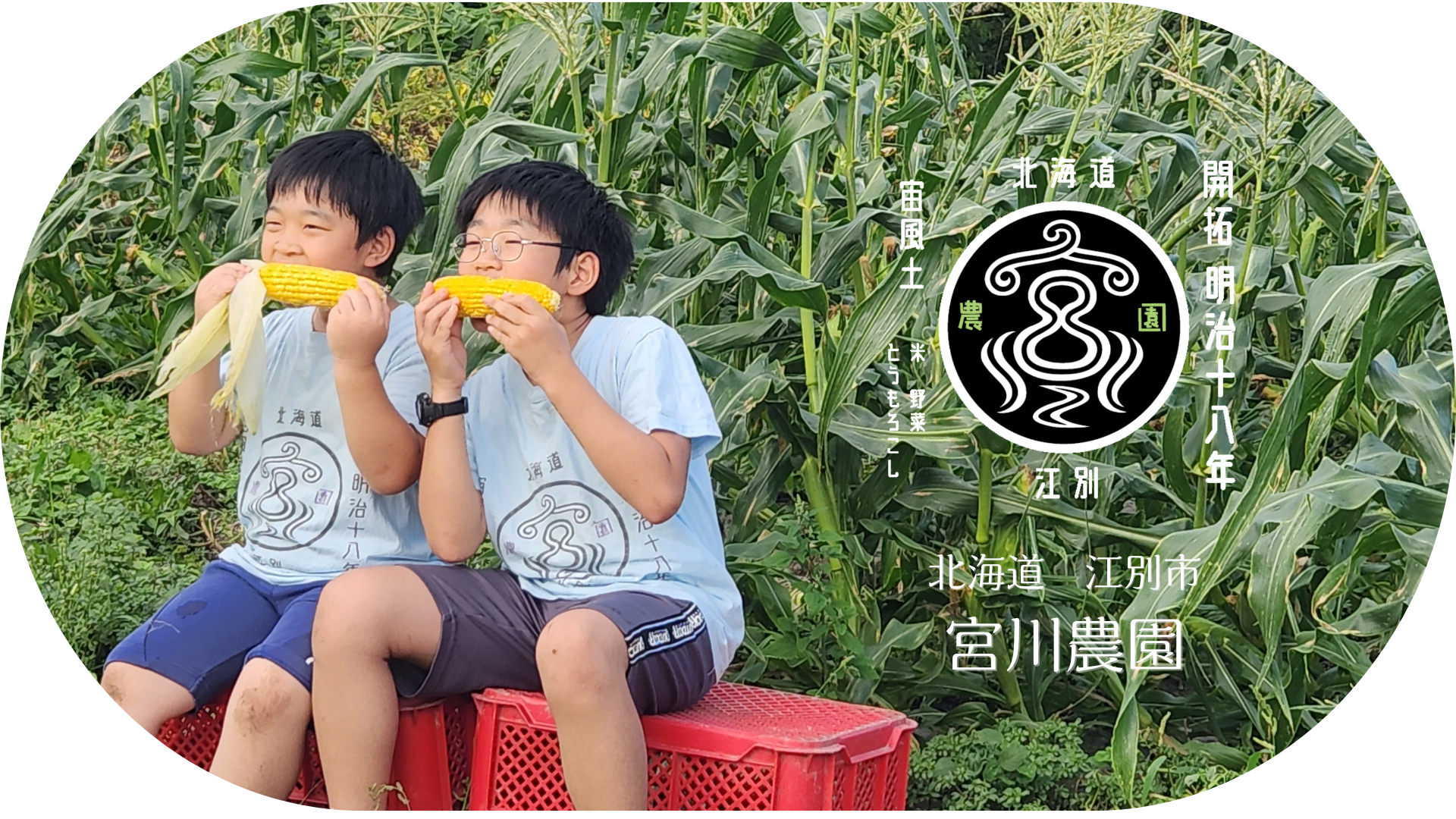 日報アプリQ＆A