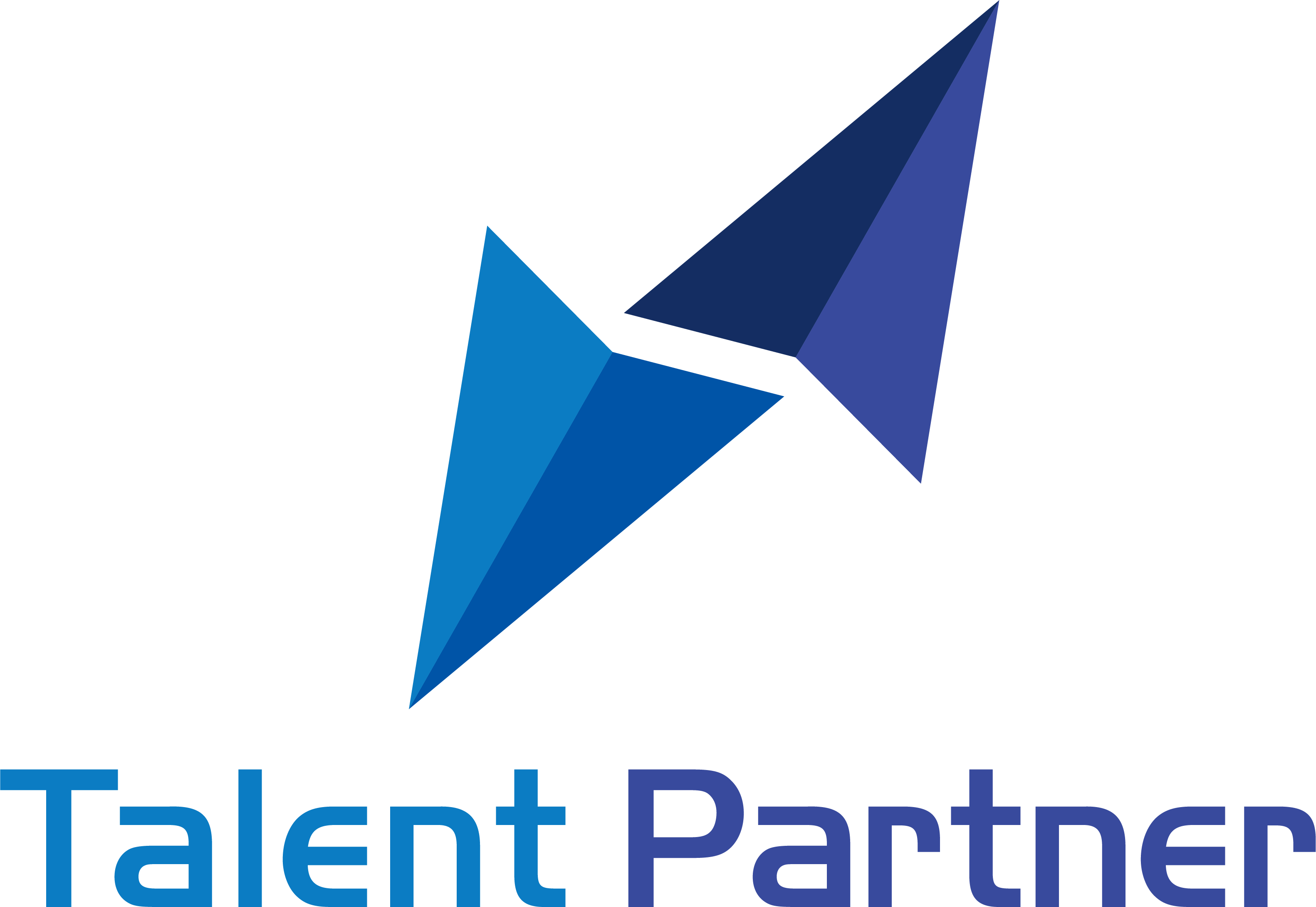 Talent Partner