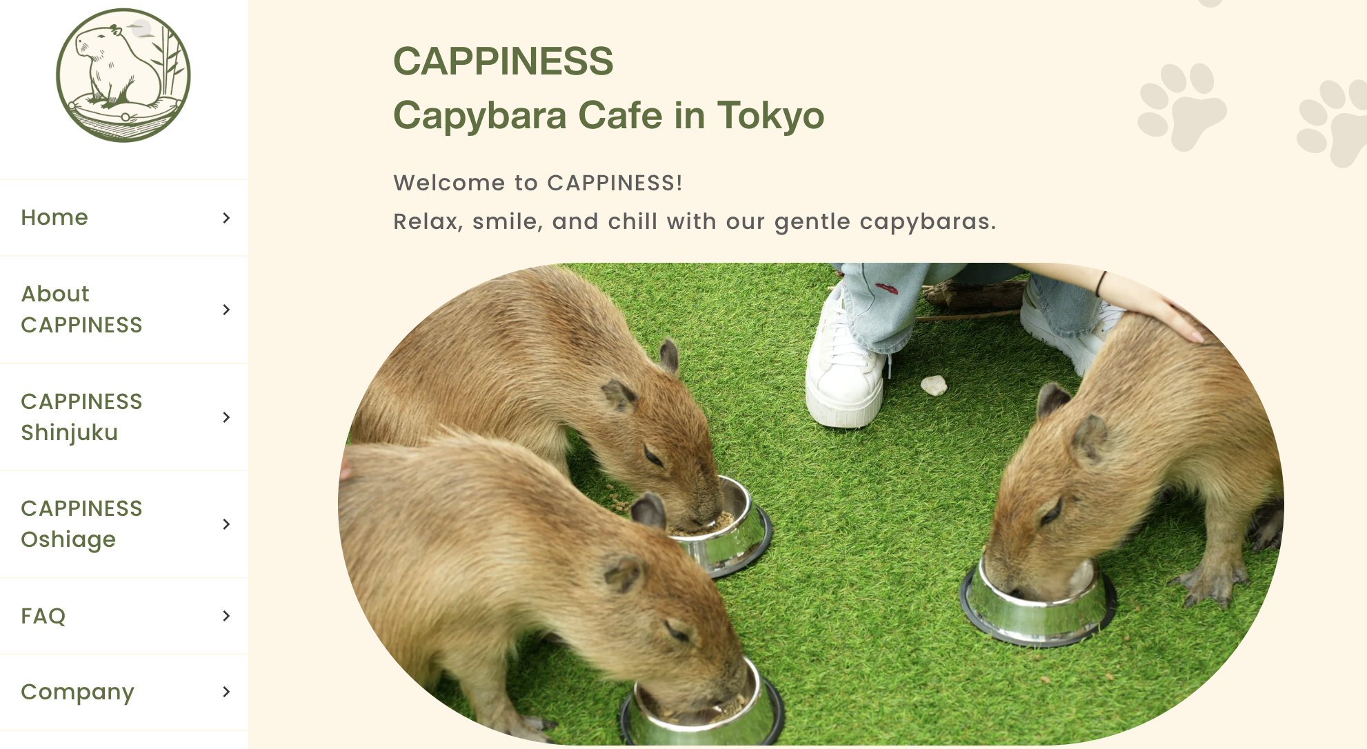 Book Sessions | Capybara Cafe Tokyo | CAPPINESS