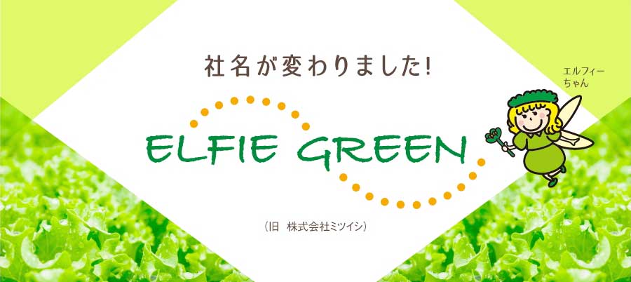 ELFIE GREEN