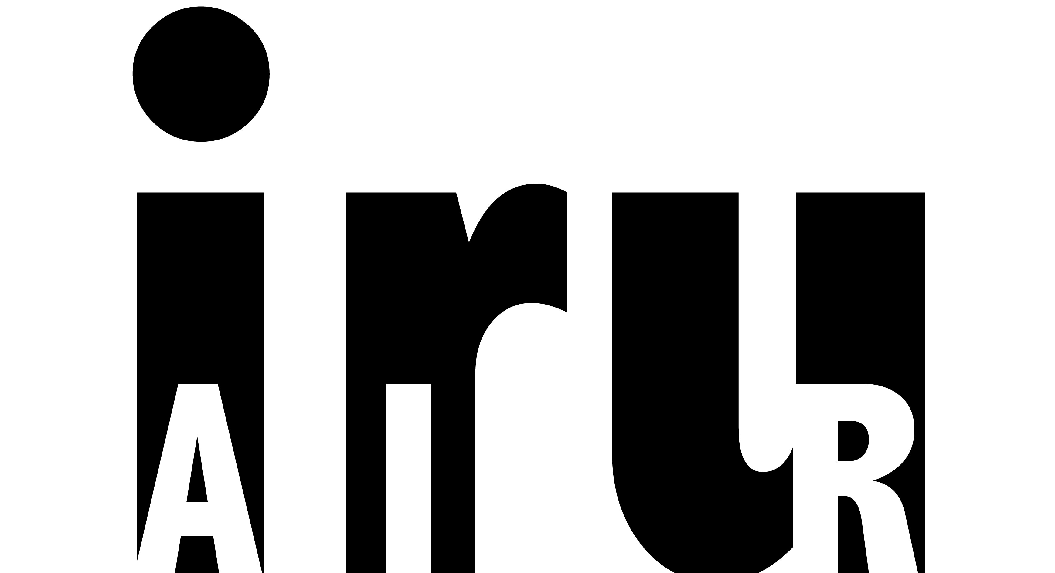 Construction「iru」