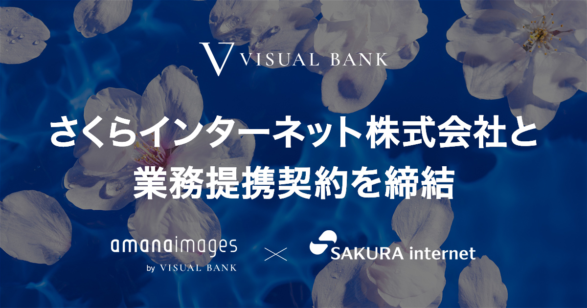 News│Visual Bank