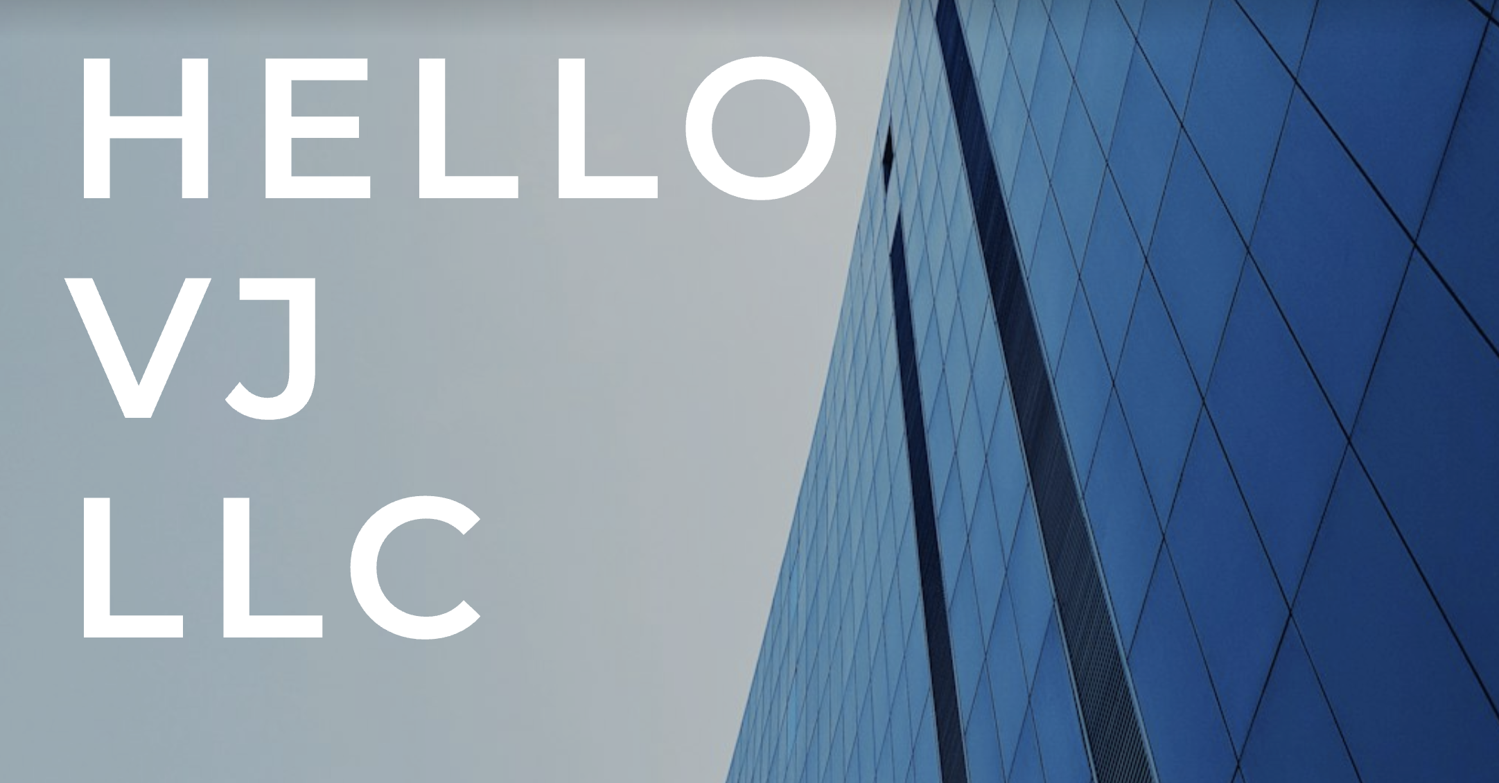 合同会社VJ | VJ LLC