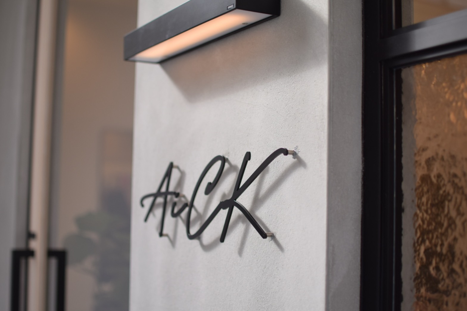 AiCK HAIR AND EYELASH