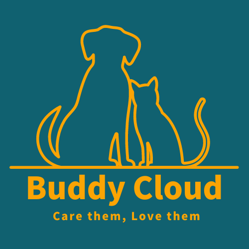 Buddy Cloud