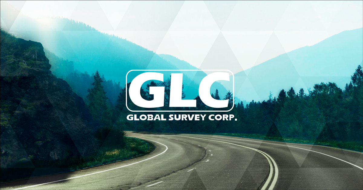 GLOBAL SURVEY CORP. | SERVICE