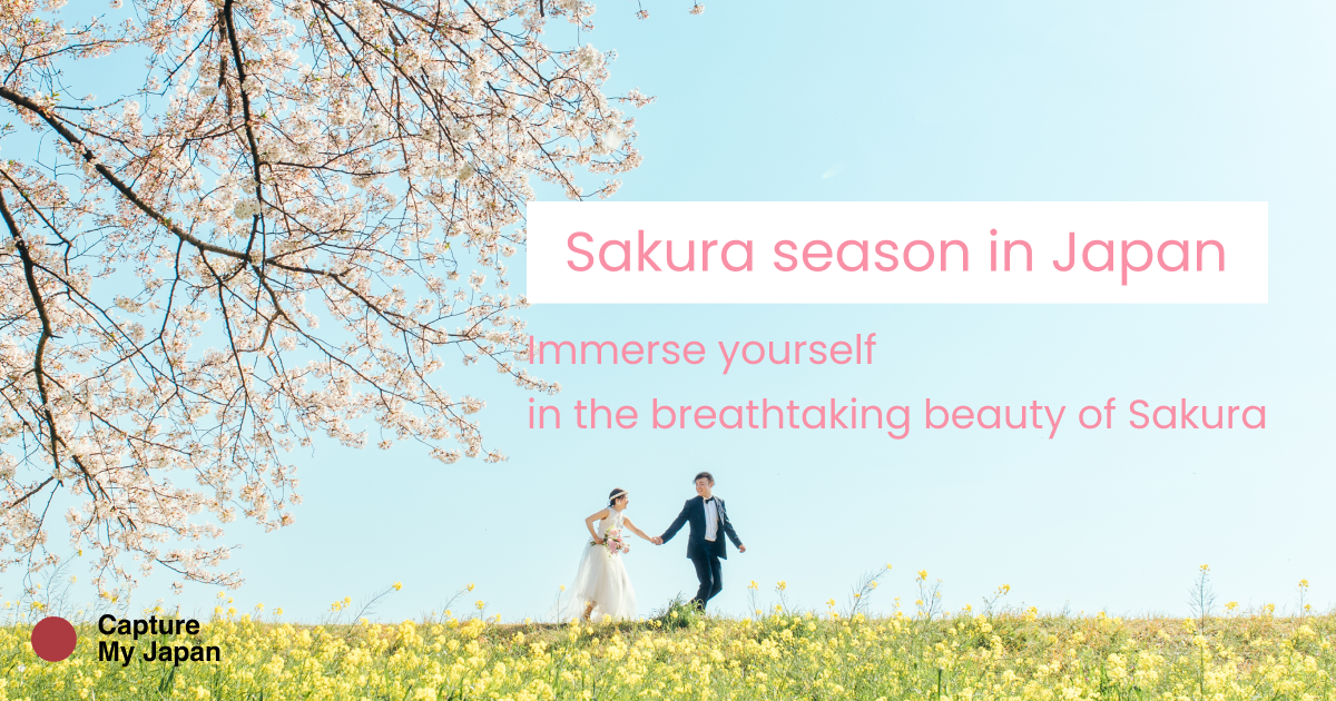 Sakura Photography with Capture My Japan