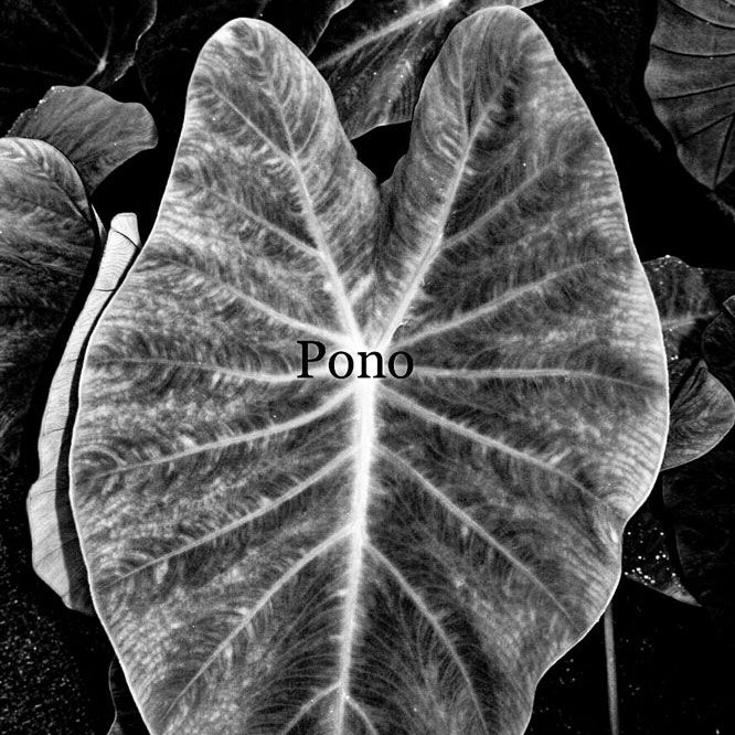 PIKO 公式ブランドサイト|History