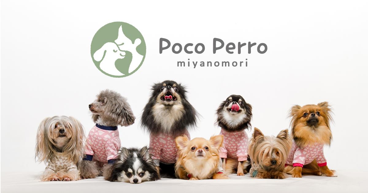 Poco Perro（ポコペロ）宮の森店｜札幌市中央区宮の森のトリミングサロン・ペットホテル
