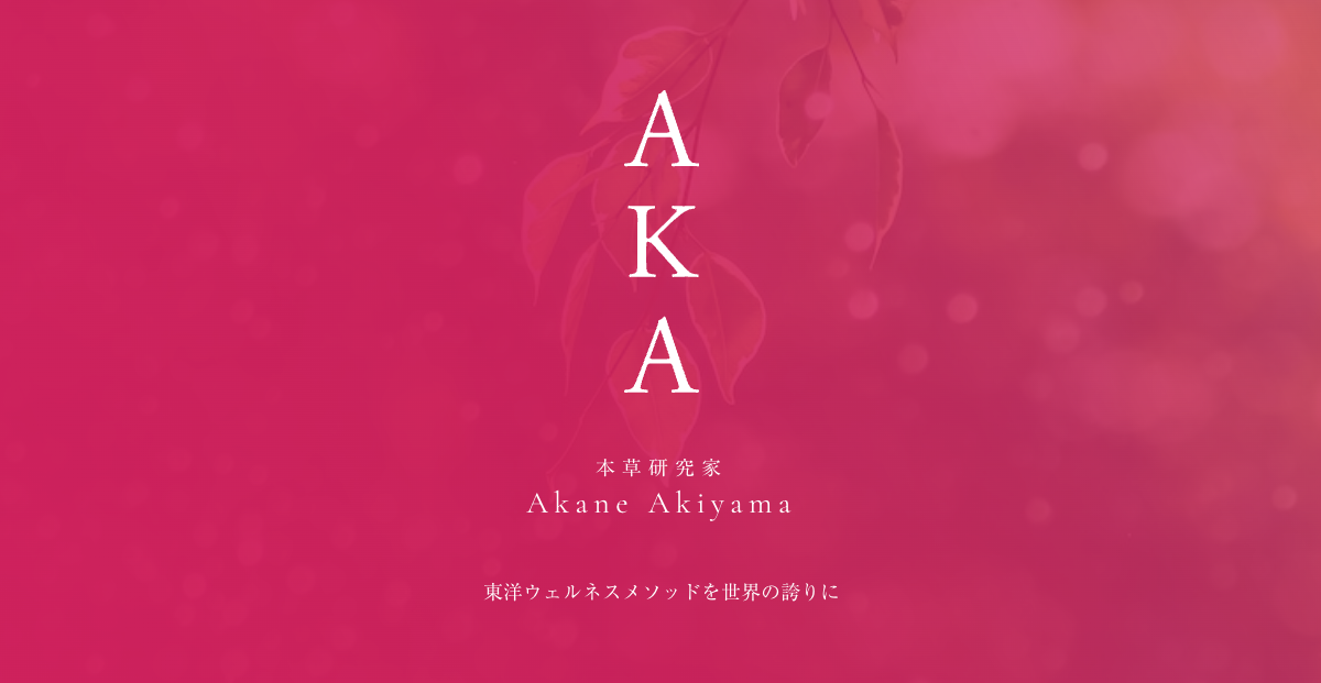 AKAの活動内容