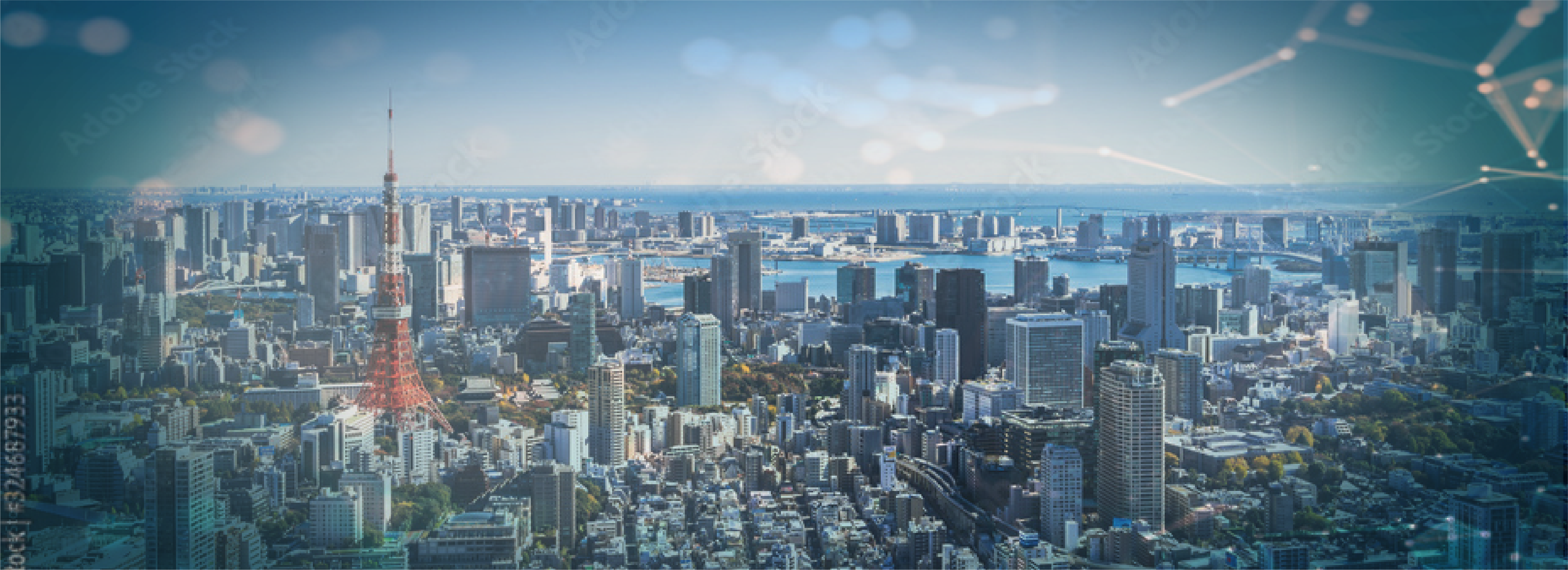 3D Viewer | SMARTSCAPE