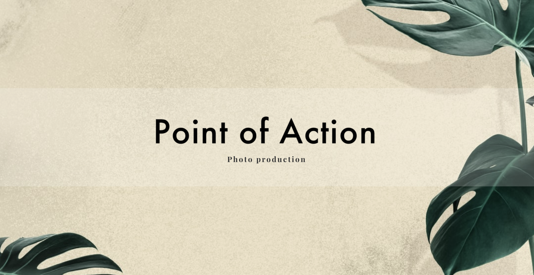 About - Point of Action