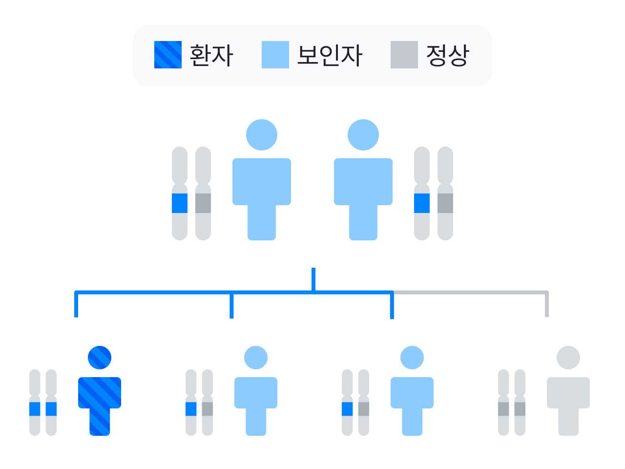 소두증 골형성이상 원시성 난쟁이증 유형 2 | 희귀질환 정보 - 레어노트