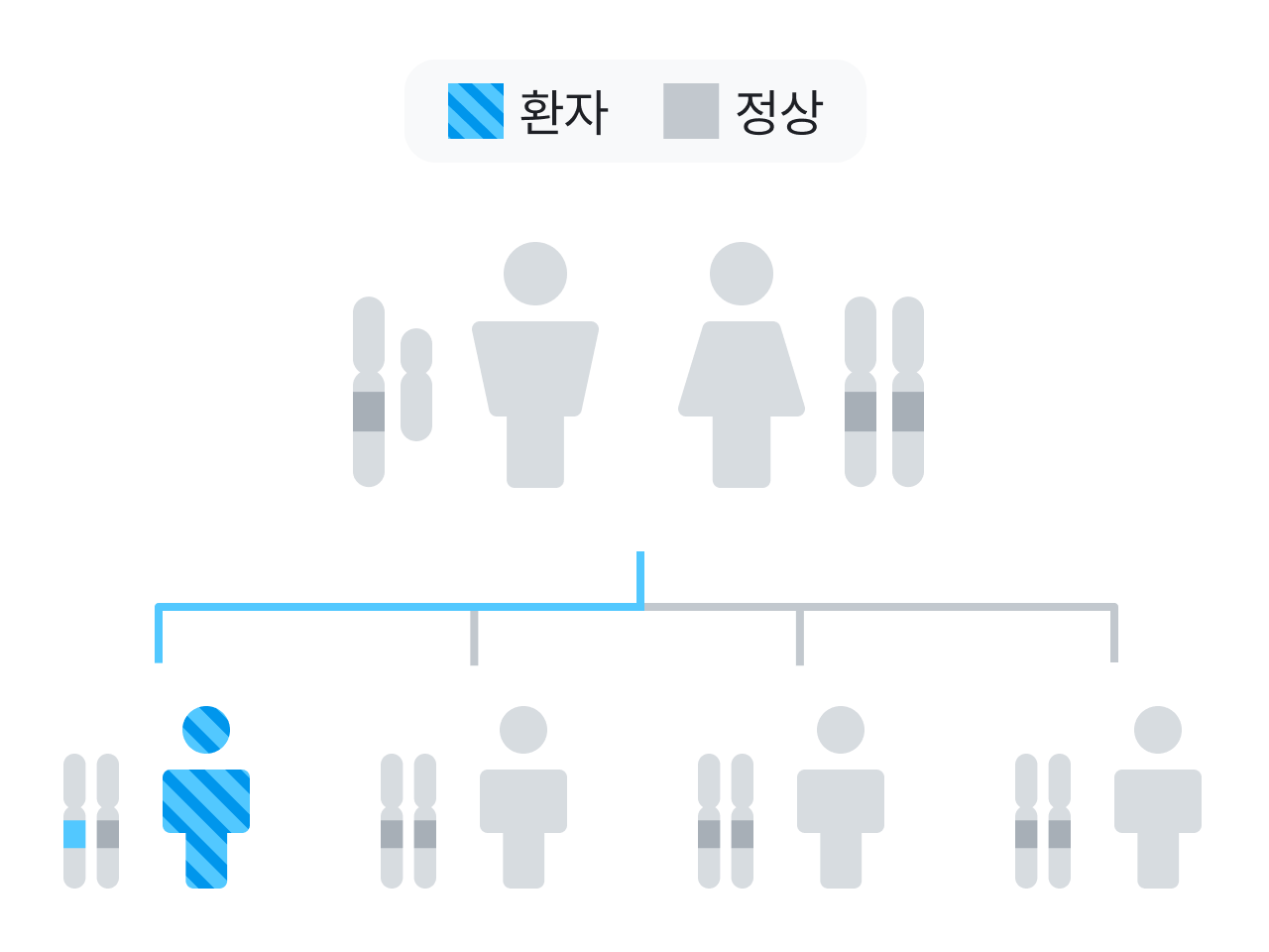 희귀질환이 궁금해 (6) 피트-홉킨스 증후군 | 희귀질환 - 레어노트