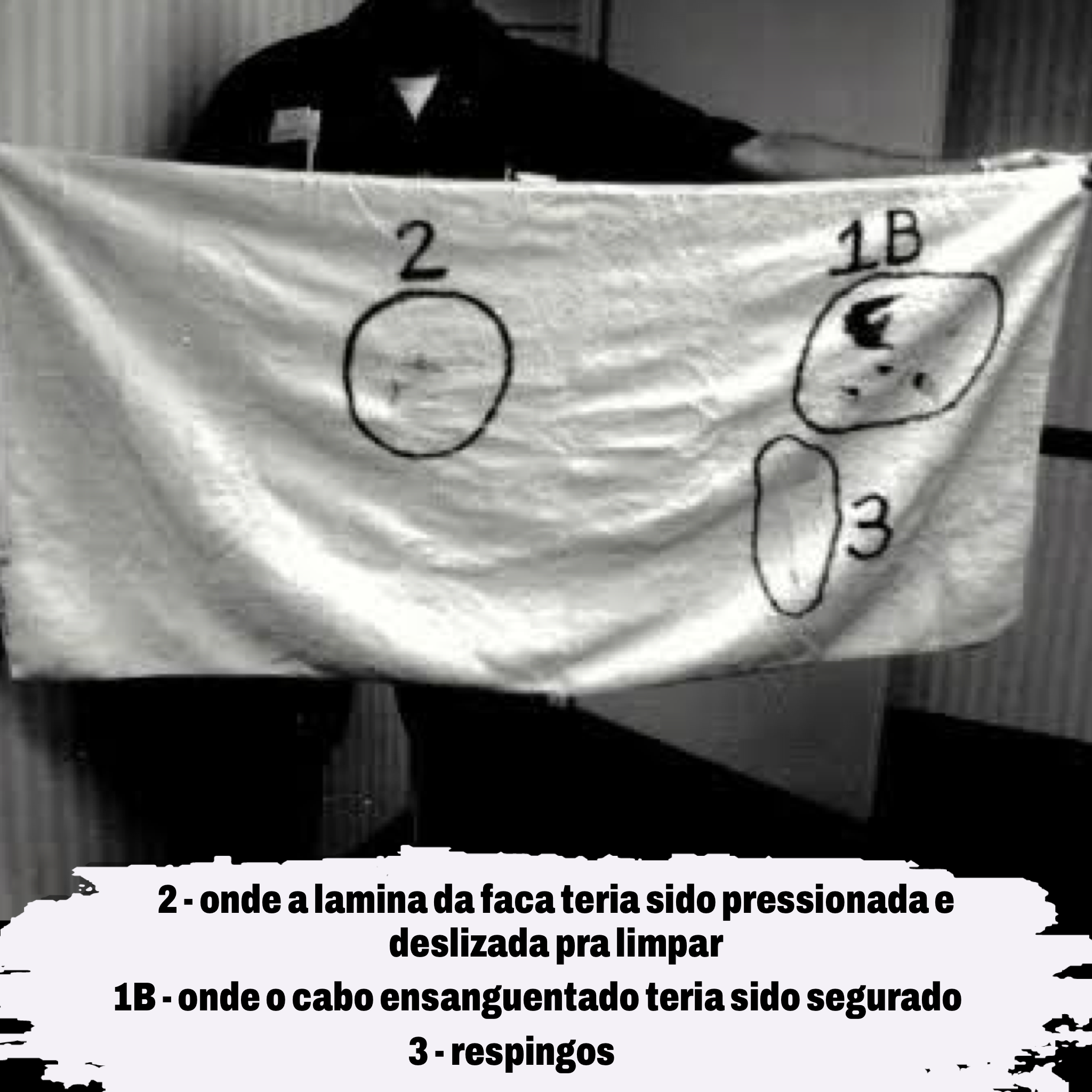 O Polêmico e Bizarro Assassinato de Robert Wone