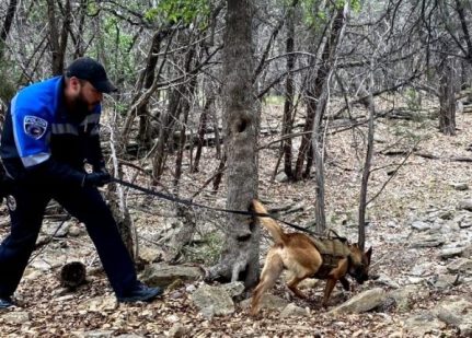 Bomb Dogs Explosives Detecion Dogs Police Dogs from Pacesetter K9