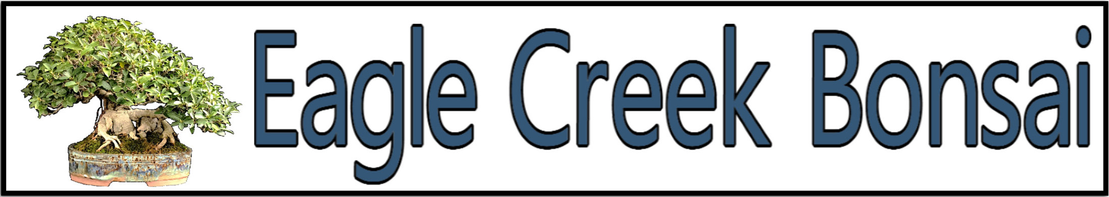 Eagle Creek Bonsai Catalog Page