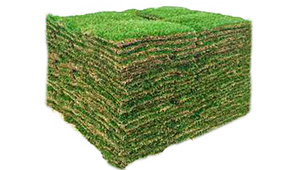 Lawn and Garden Supplies | Humble, TX - Direct Grass, Inc.