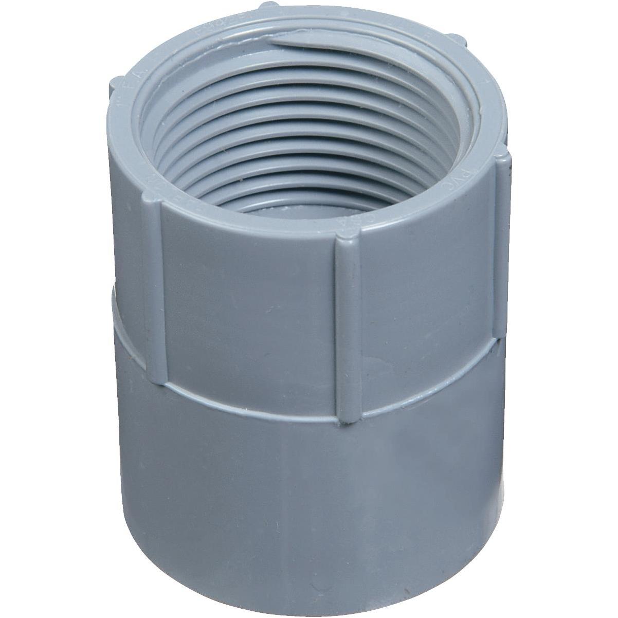 Carlon 2 In. Female Threaded & Socket PVC Conduit Female Adapter ...