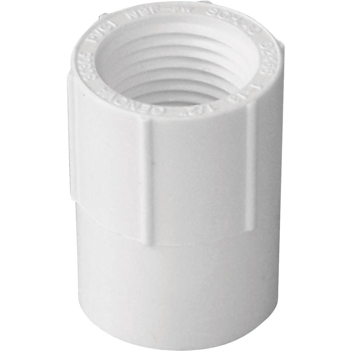 Charlotte Pipe 1-1/4 In. Schedule 40 Female PVC Adapter | Elitsac, Inc.