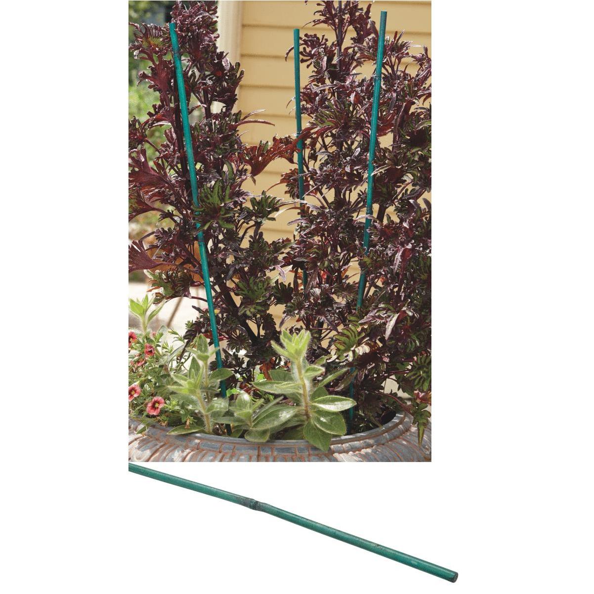Gardener's Blue Ribbon 6 Ft. Natural Bamboo Heavy-Duty Plant Stake (6 ...