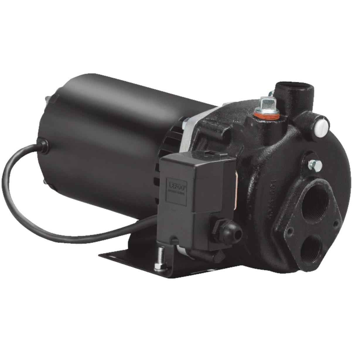 Wayne 1/2HP Cast Iron Convertible Water Well Jet Pump | Hills Flat Lumber