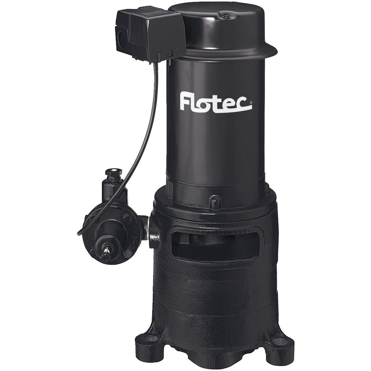 Flotec 1 HP Cast Iron Vertical Deep Water Well Jet Pump | Hammond Hardware
