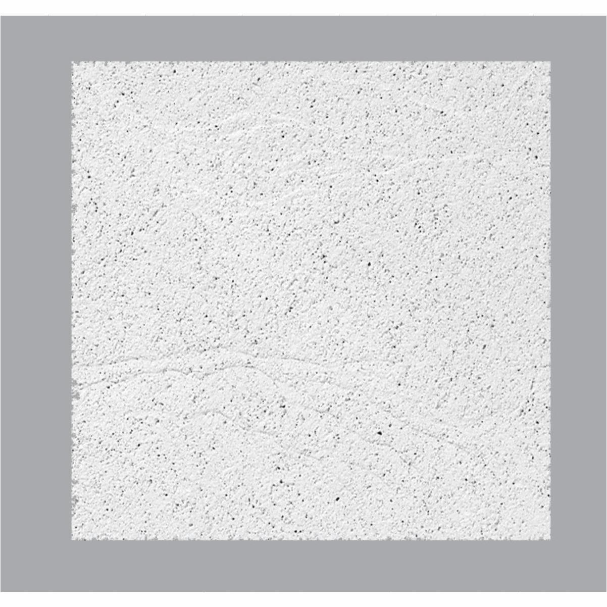 Sandrift USG Sandrift 2 Ft. x 2 Ft. Mineral Fiber Acoustical Ceiling ...