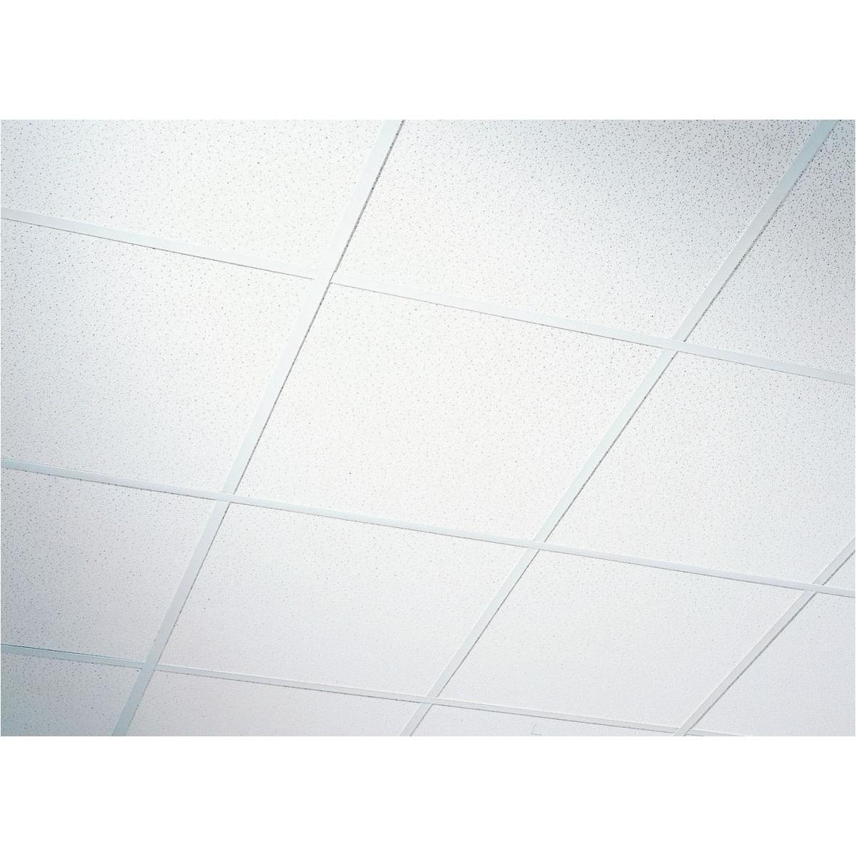 Usg Radar Ceiling Tile 2 X 4 | Shelly Lighting