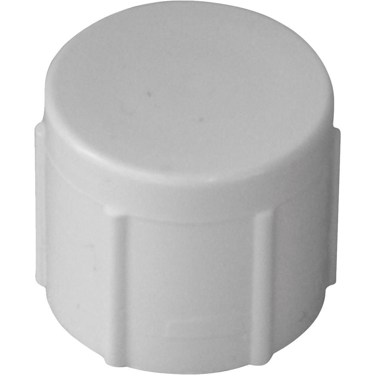 Charlotte Pipe 2 In. FIP Schedule 40 Threaded PVC Cap | Morganfield ...