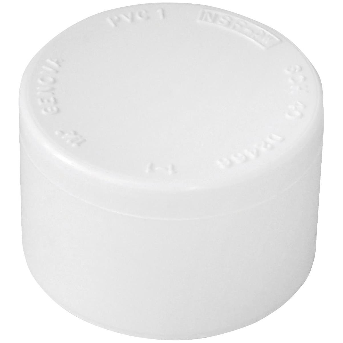 Charlotte Pipe 1-1/4 In. Schedule 40 Pressure Slip PVC Cap ...