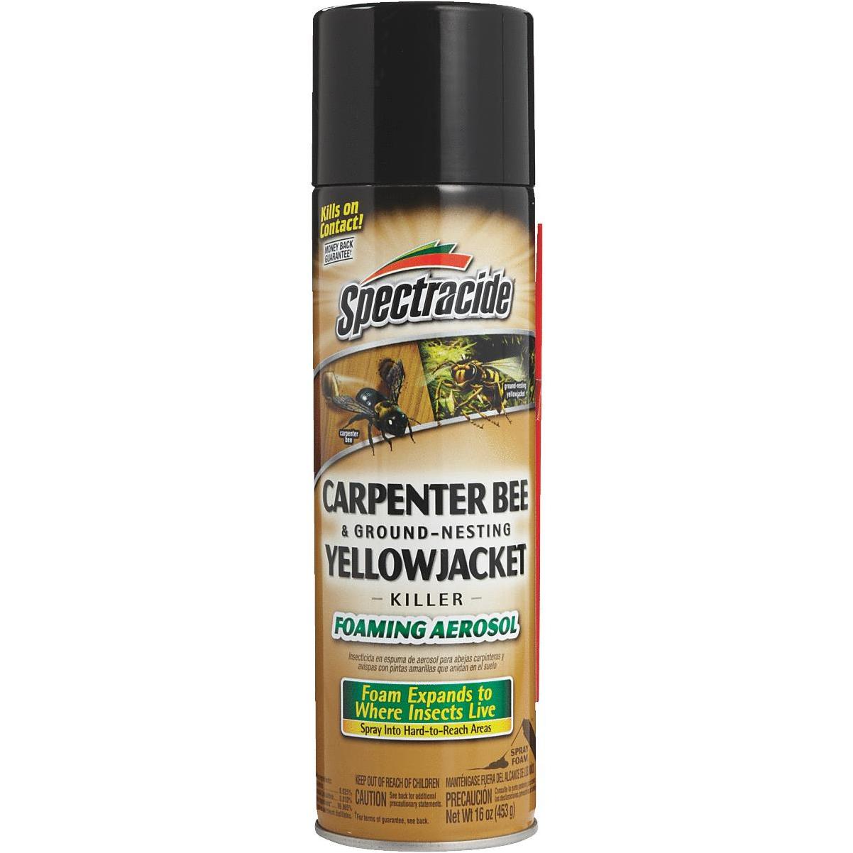 Spectracide 16 Oz. Aerosol Spray Carpenter Bee & Yellow Jacket Killer ...