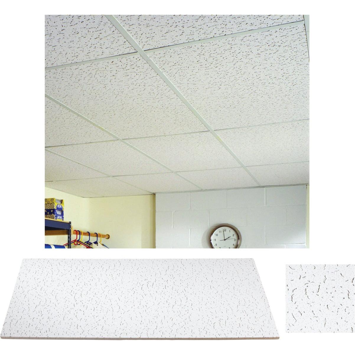 USG Fissured Basic 2 Ft. x 4 Ft. Square Edge Acoustical Ceiling Panels ...